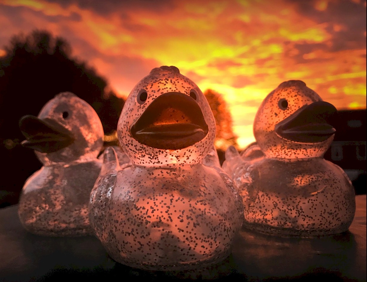 Badeend Ducky 7,5 cm DR glitter goud