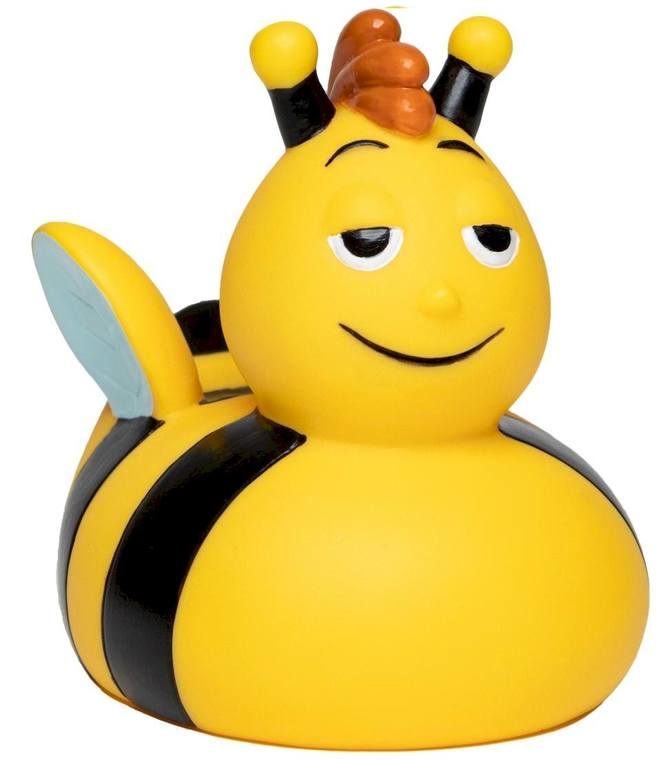 Badeend Willie de Bij DR