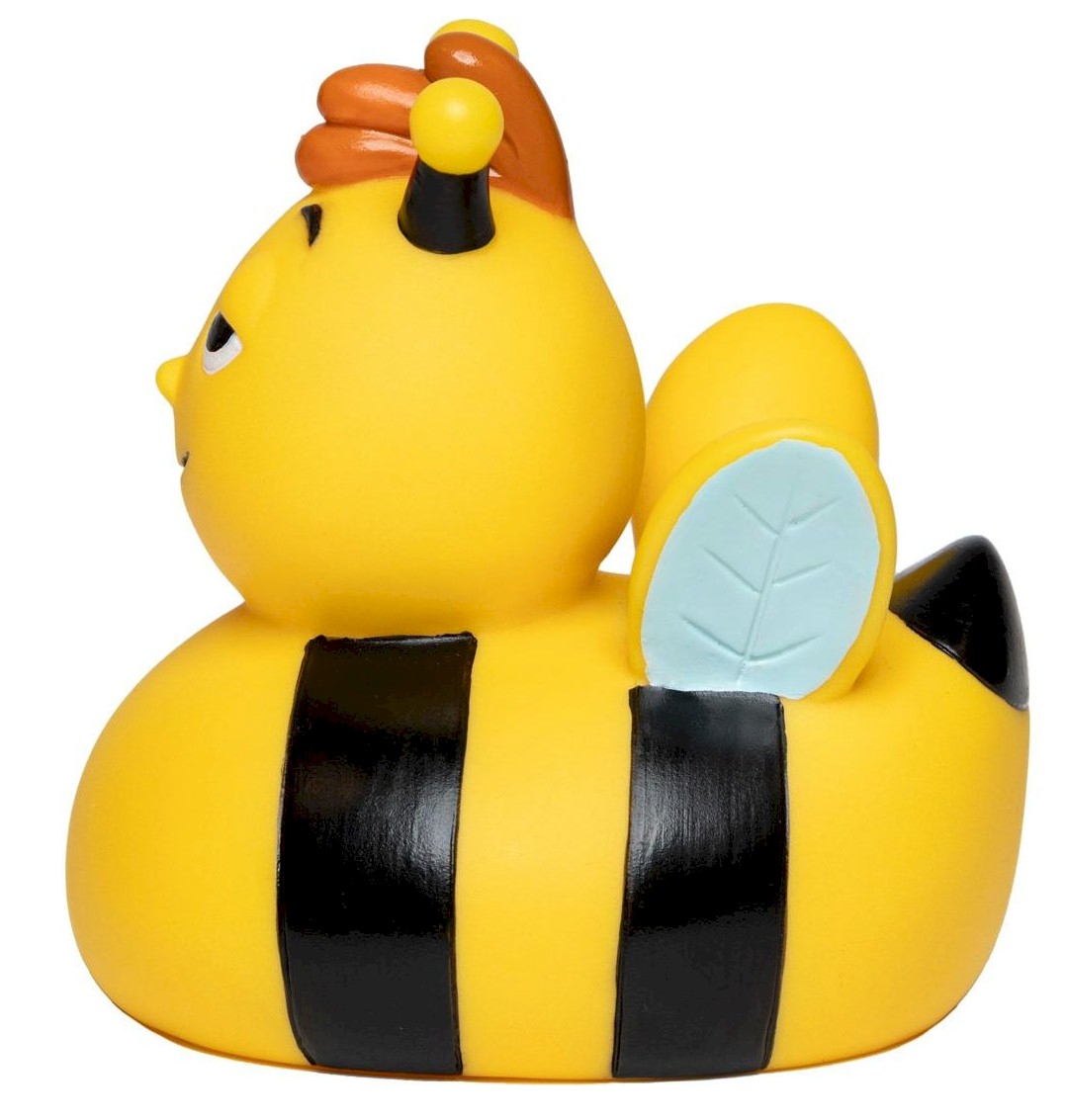 Badeend Willie de Bij DR