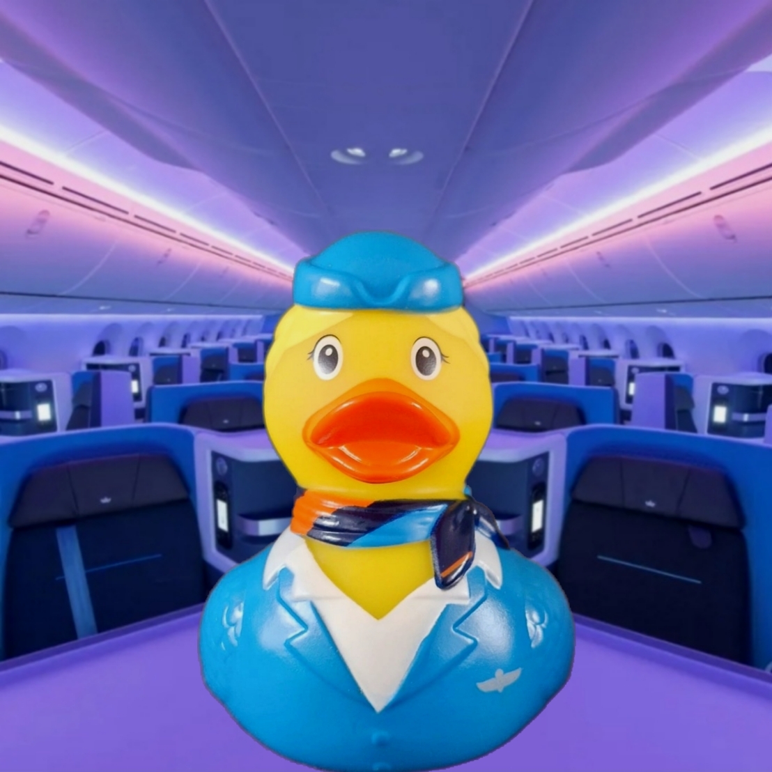 Rubber duck flight attendant KLM