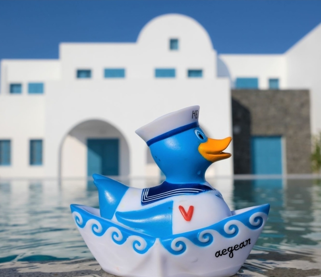 Sailor Rubber Duck ducklin