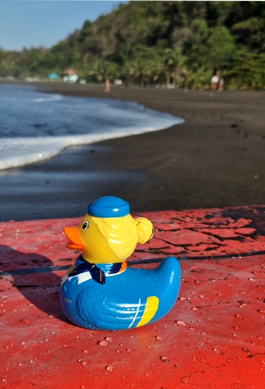 Rubber duck flight attendant KLM
