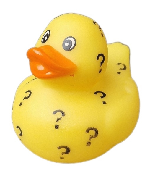 I don't know mini Question mark rubber duck