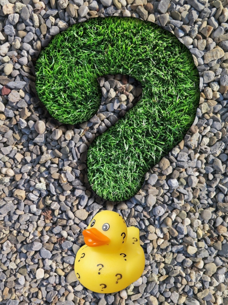 I don't know mini Question mark rubber duck