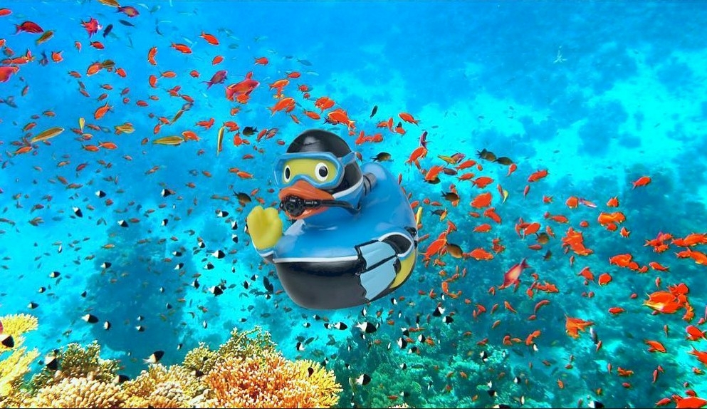 Rubber duck diver DR