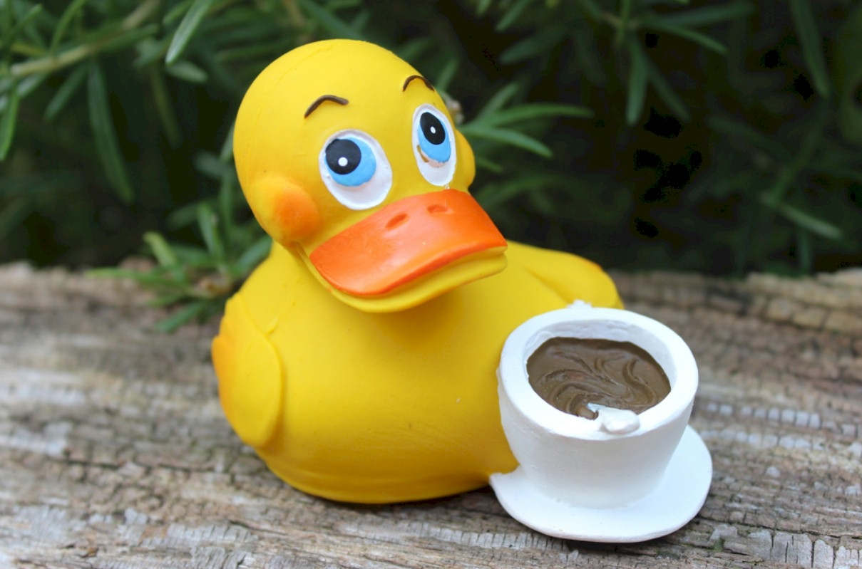 Coffee duck Lanco
