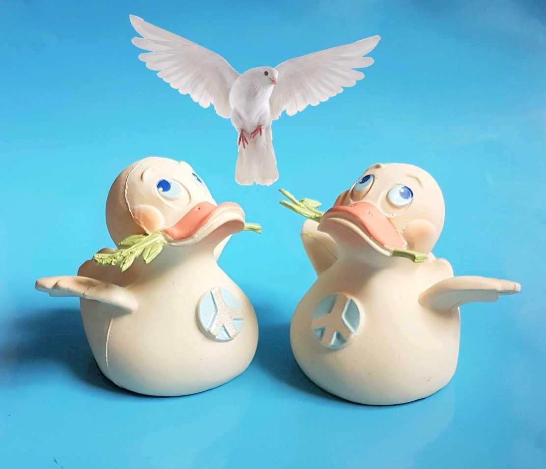 La Paloma Peace Duck Lanco