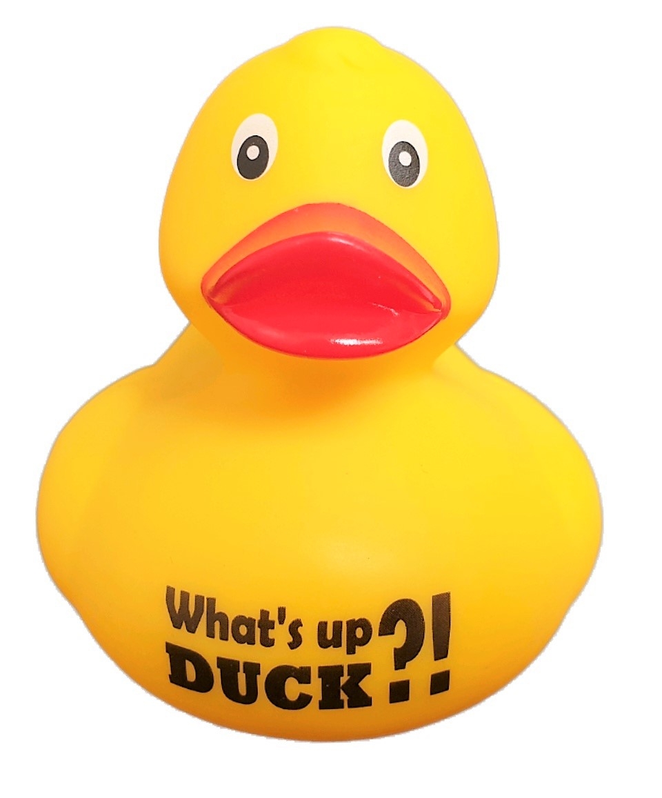 DUCKY TALK What's up DUCK