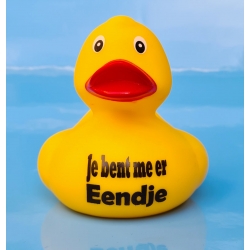 De Badeendwinkel rubber ducks - De Badeendwinkel